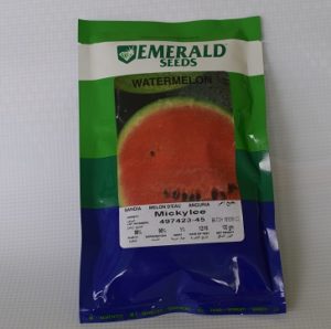 Watermelon Mickeylee Seeds – APSOL